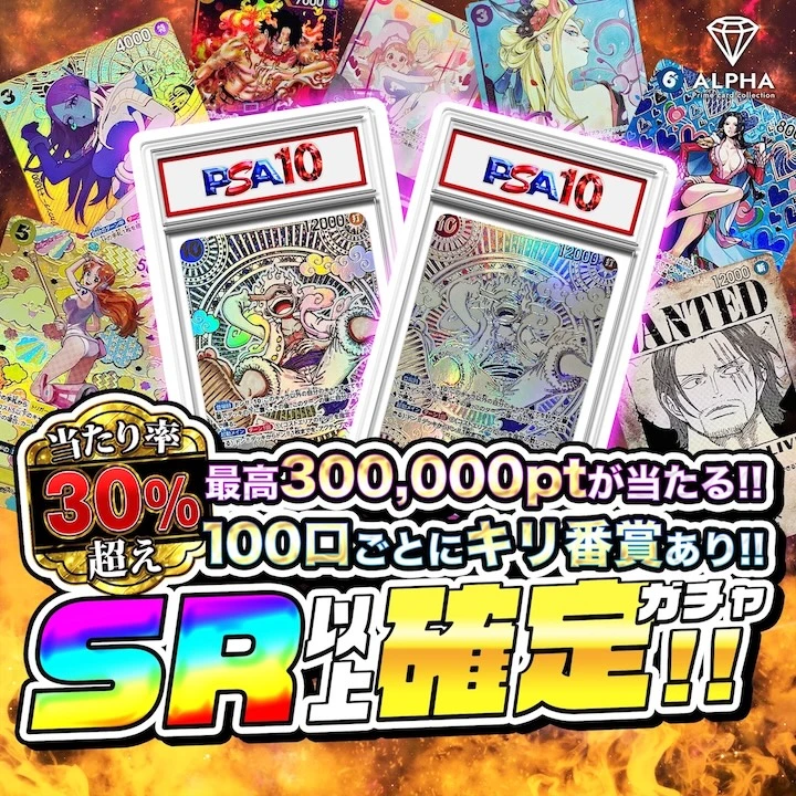 【Card Shop ALPHA】マニア垂涎のコレクショントレカ専門店